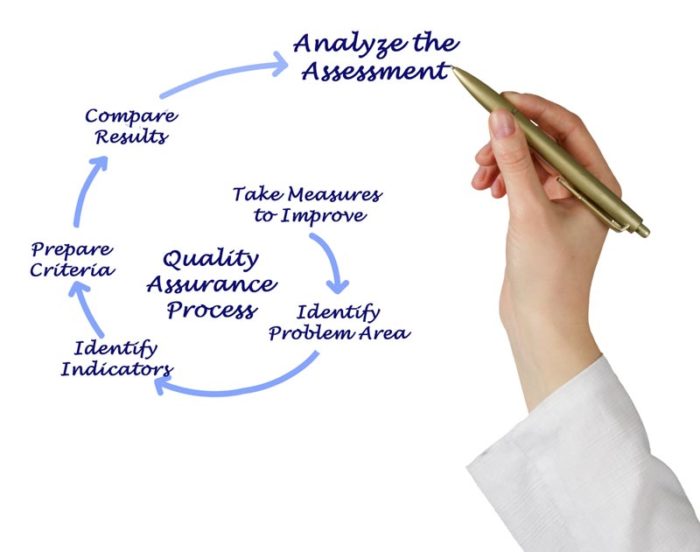 Establishing An Effective Health Care Quality Assurance Strategy ...